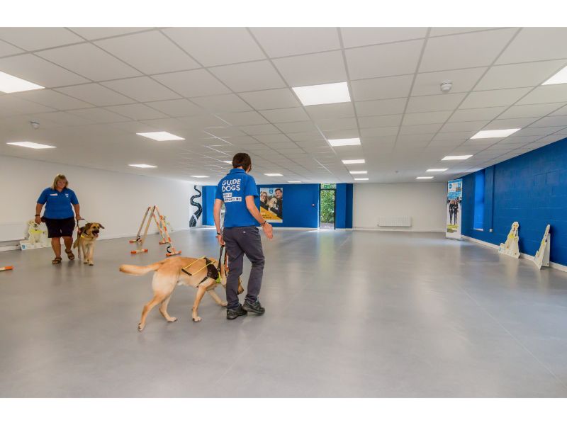 Leamington Spa Guide dogs - Orbs Ltd